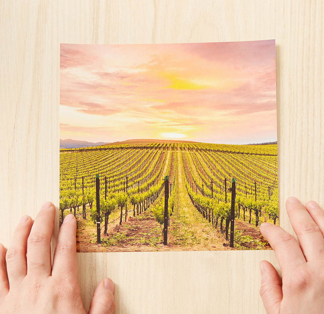 Next Day Prints - Walmart Photo Centre