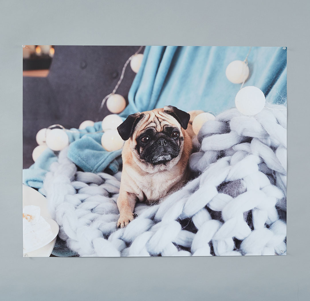 Spark Posters - Walmart Photo Centre