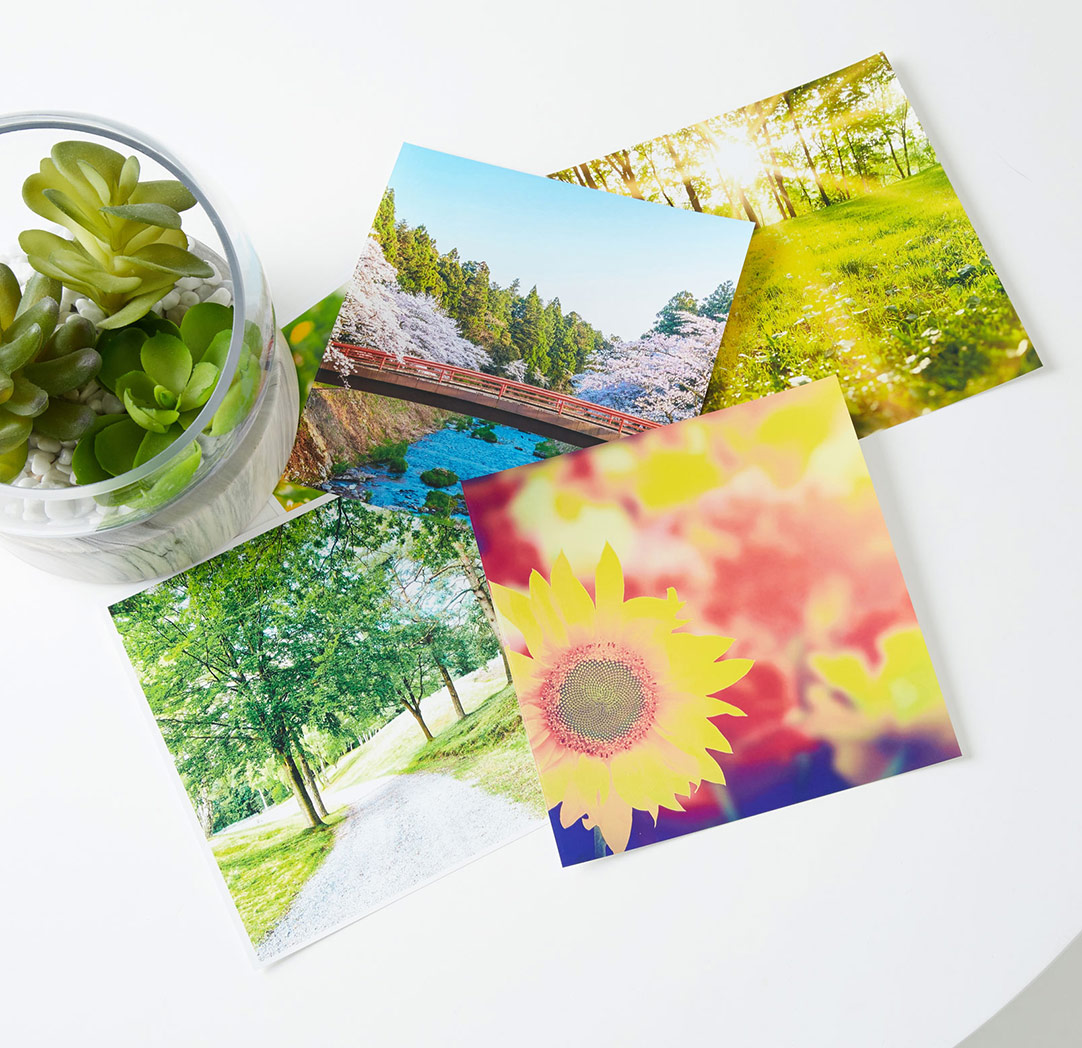 Next Day Prints - Walmart Photo Centre