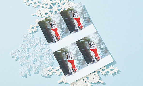 Prints - Walmart Photo Centre